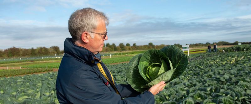 Elsoms - Unlocking the power of plants | Elsoms