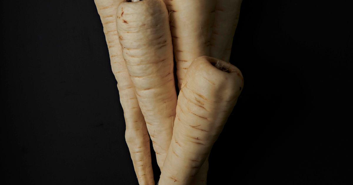 Best Performing Parsnip Seed Varieties | Elsoms Seeds