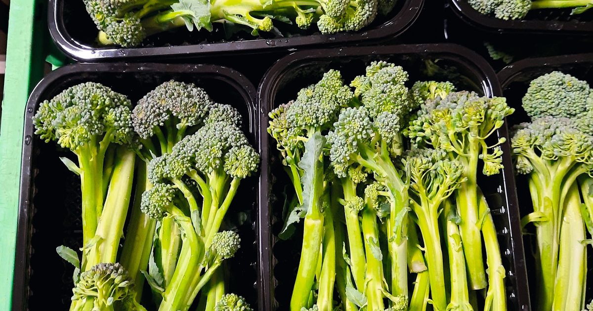 Green Sprouting Broccoli Seeds | Elsoms Seeds